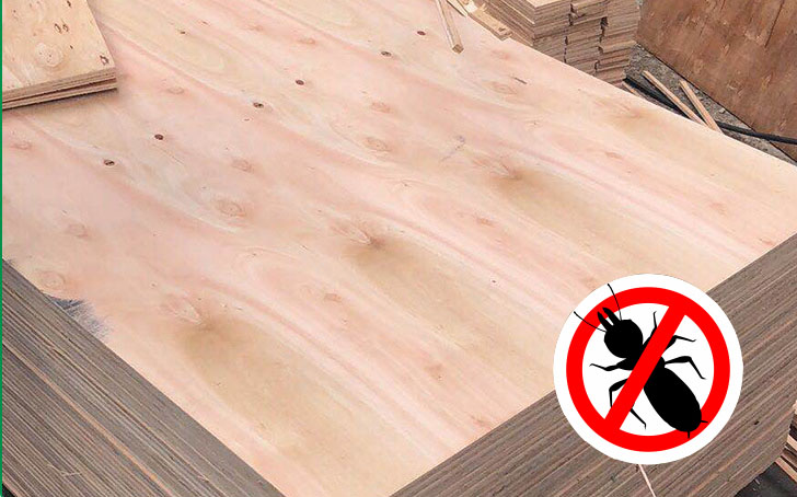 A Quick Guide To Termite Resistant Plywood - Plywood Supplier